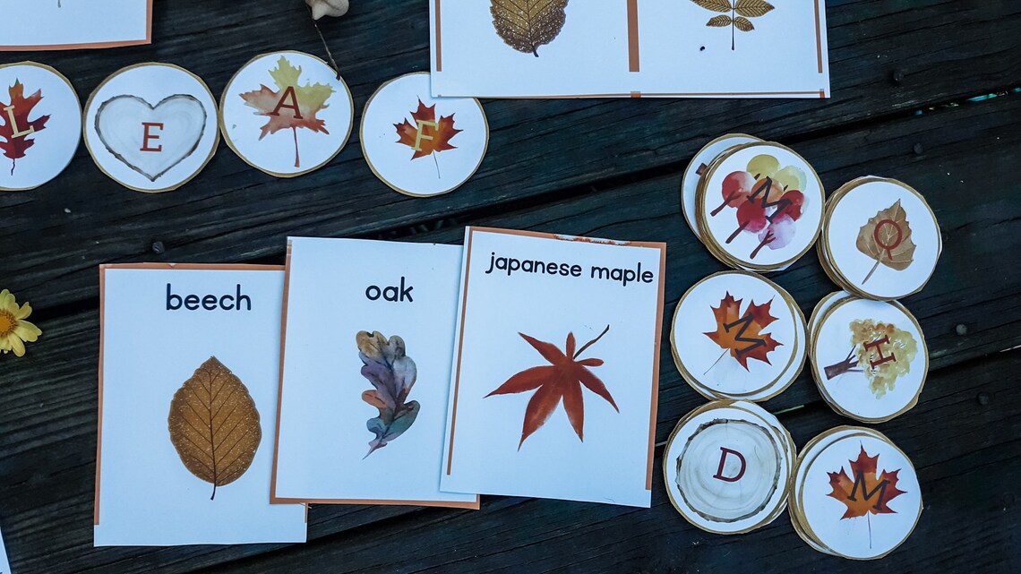Printable Fall Activity Fall Early Learning Activities Montessori ...