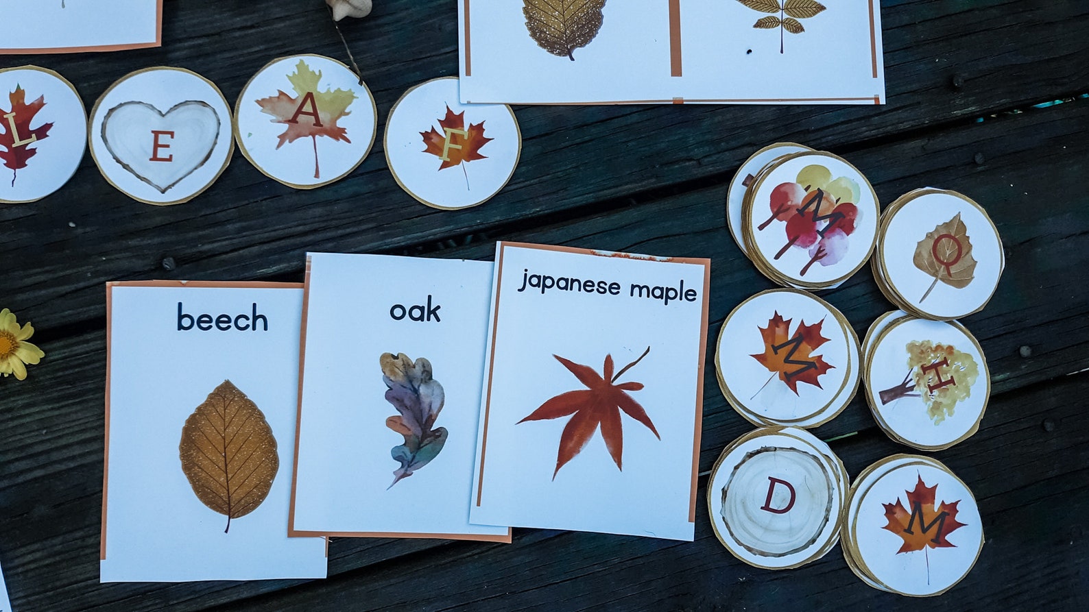 Printable Fall Activity Fall Early Learning Activities Montessori ...