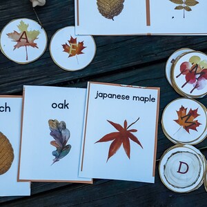 Printable Fall Activity Fall Early Learning Activities Montessori ...