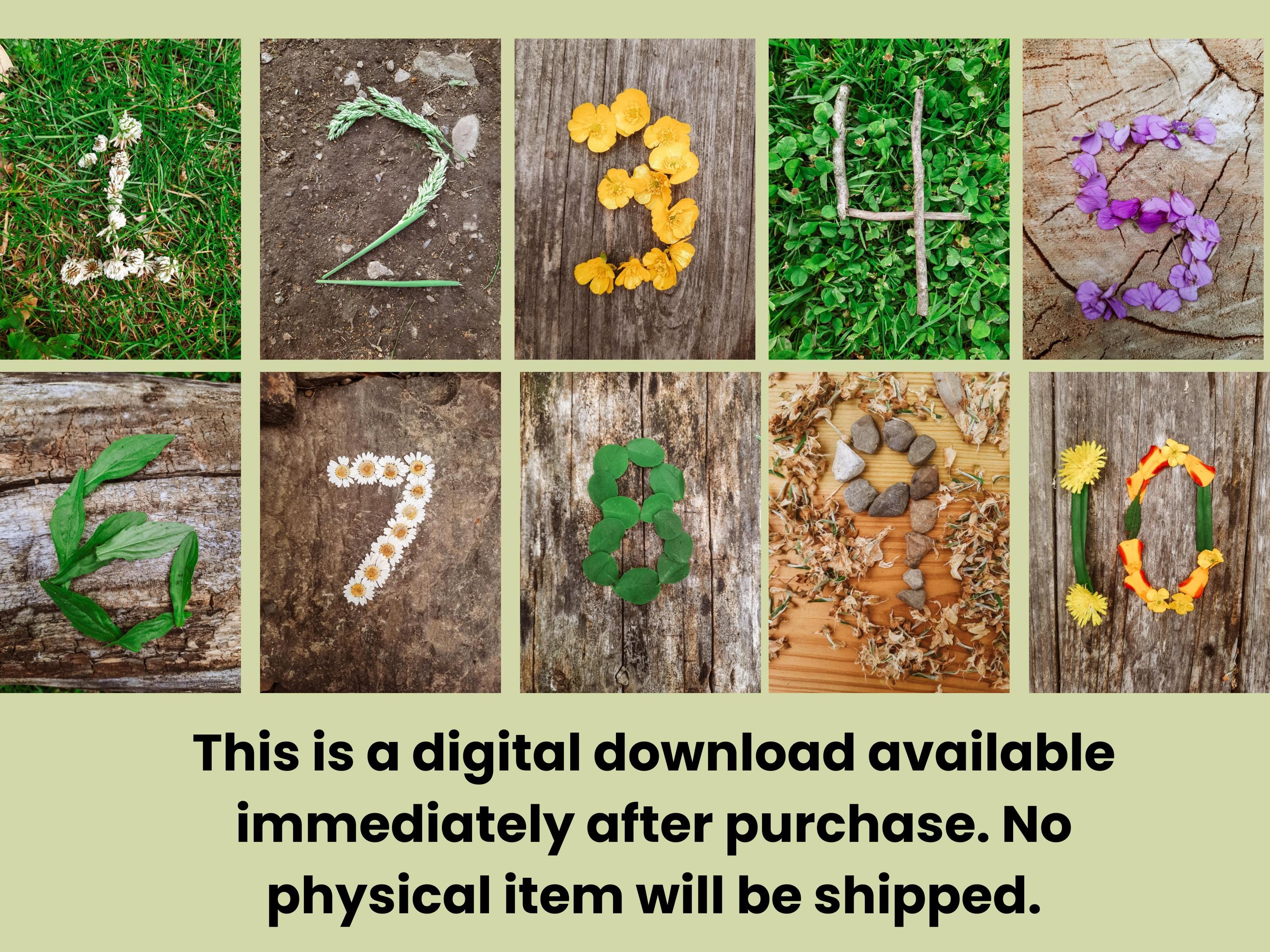 Nature Numbers, Ten Frame Counting Worksheets, Reggio Inspired ...
