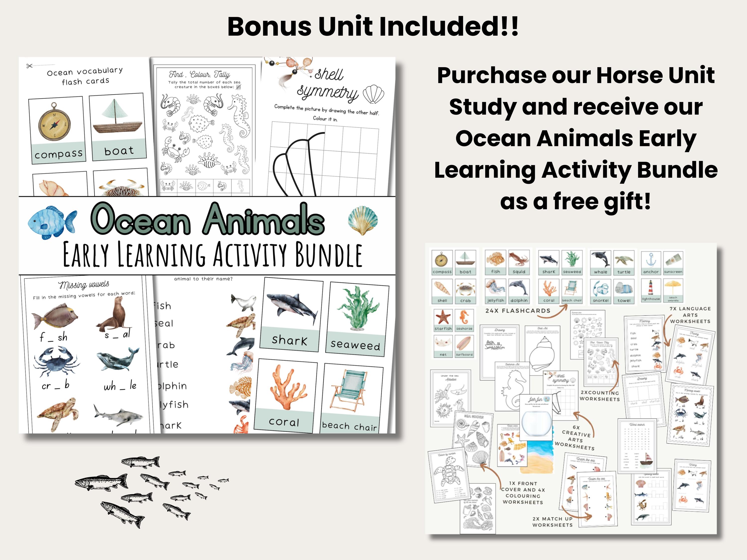 Horse Unit Study, Horse Homeschool Unit Study, Horse Anatomy, Horse ...