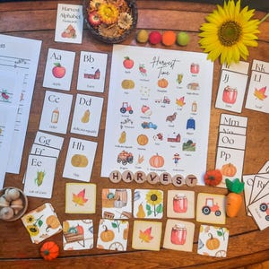 Fall Preschool Activities Learning Flashcards and Worksheets - Etsy