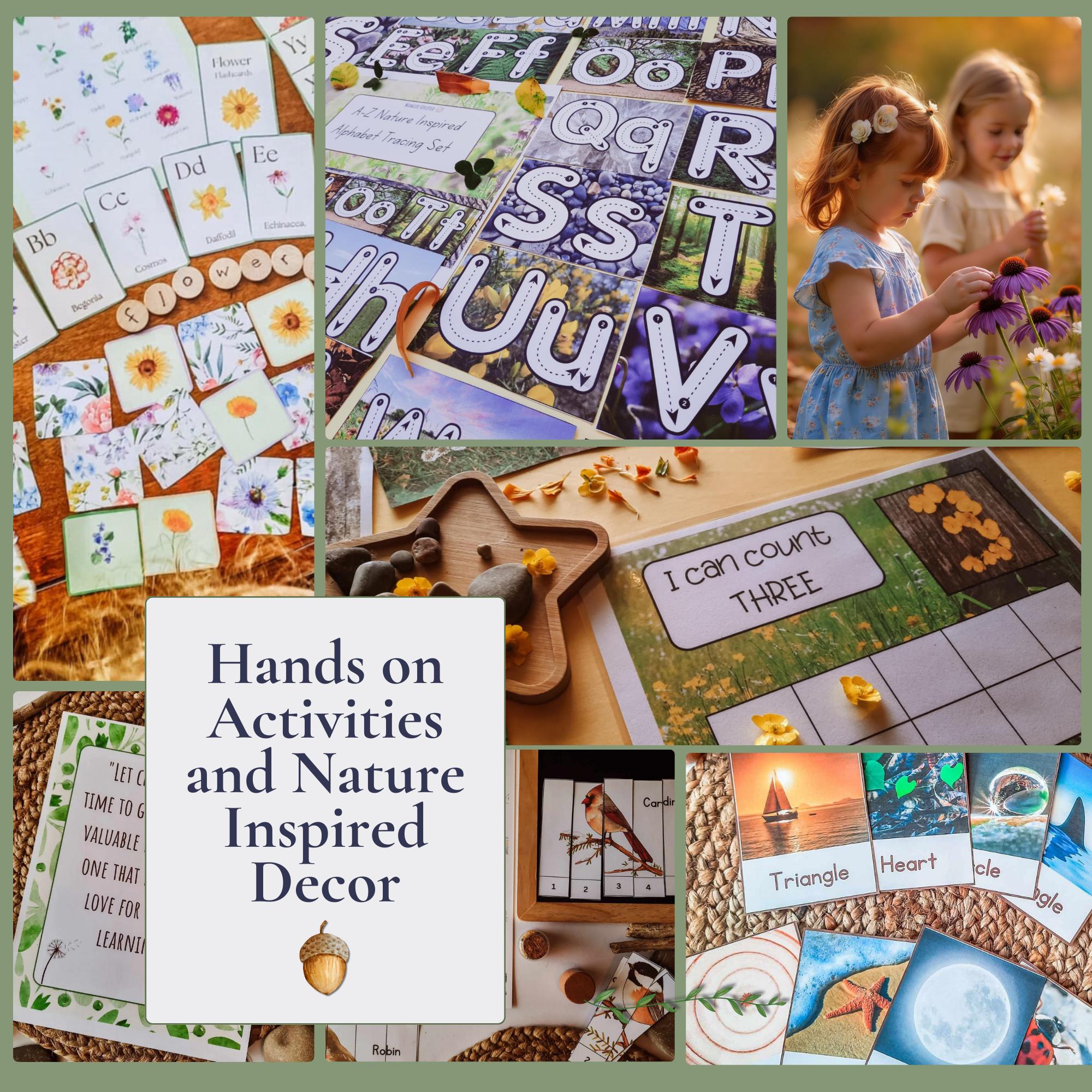 Reggio Emilia Preschool Printables | Nature School Prek Curriculum ...