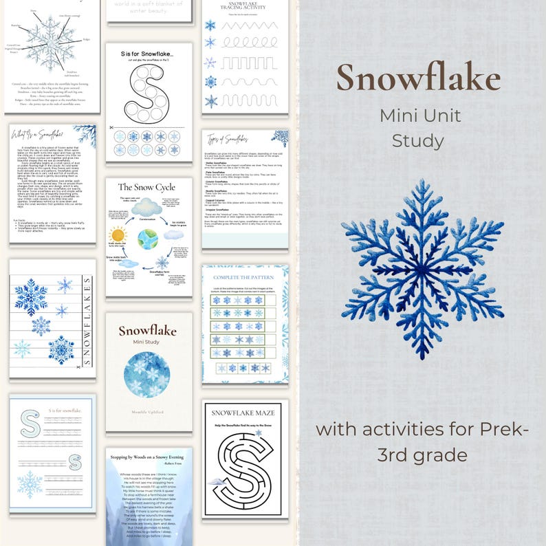 Snowflake Mini Study for Kids • Winter Preschool & Kindergarten ...