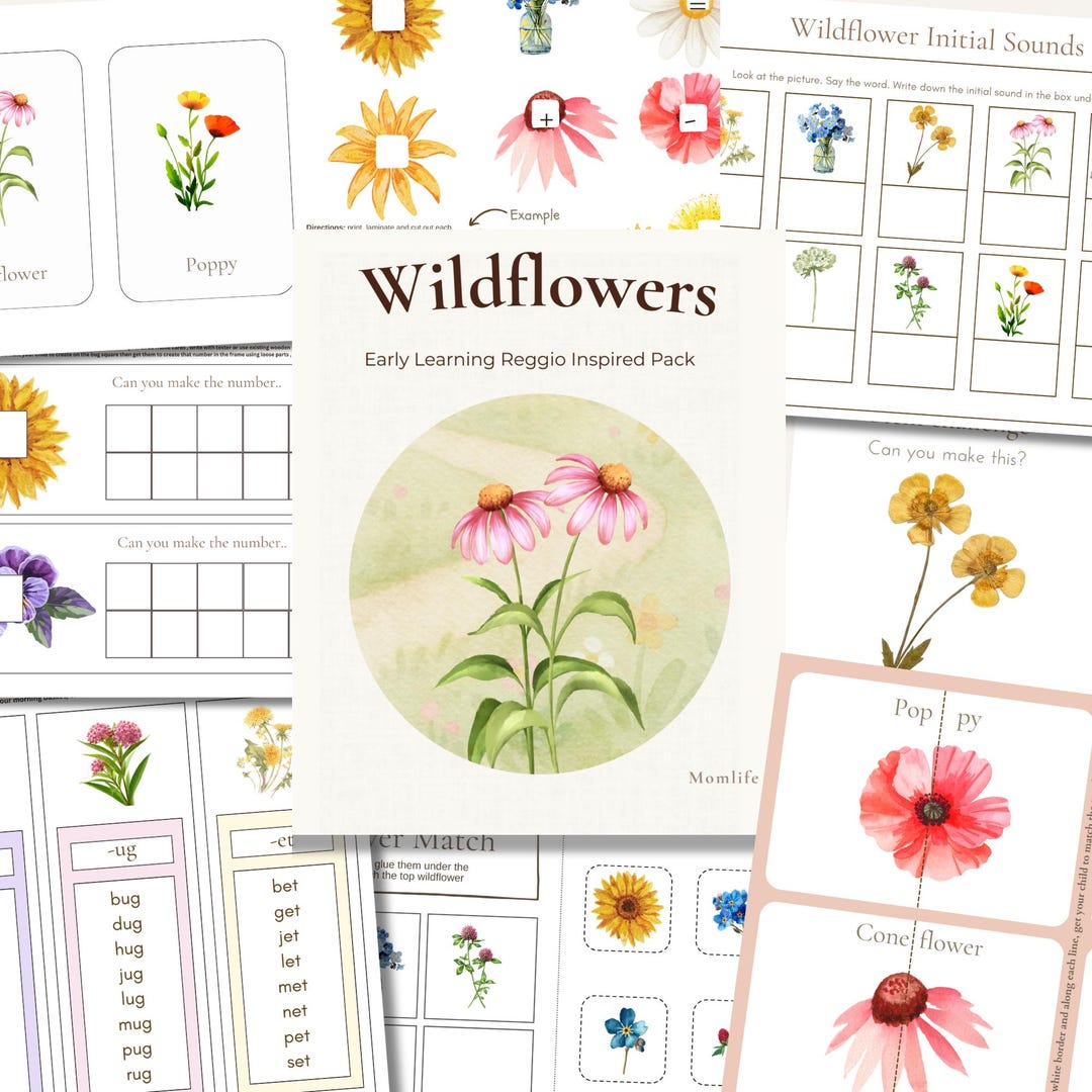 Wildflowers Reggio Inspired Pack, Nature School Preschool Curriculum ...
