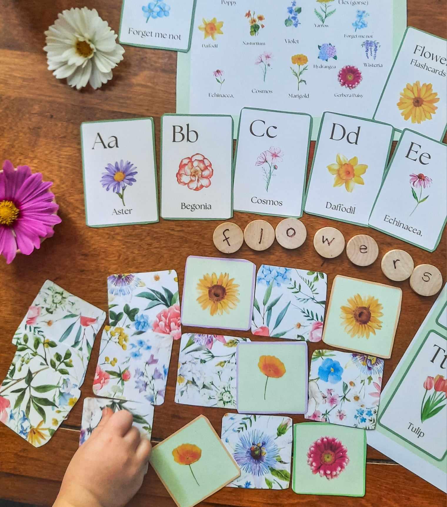 Commercial Use Flower Alphabet Flashcards Early Learning Nature Study ...