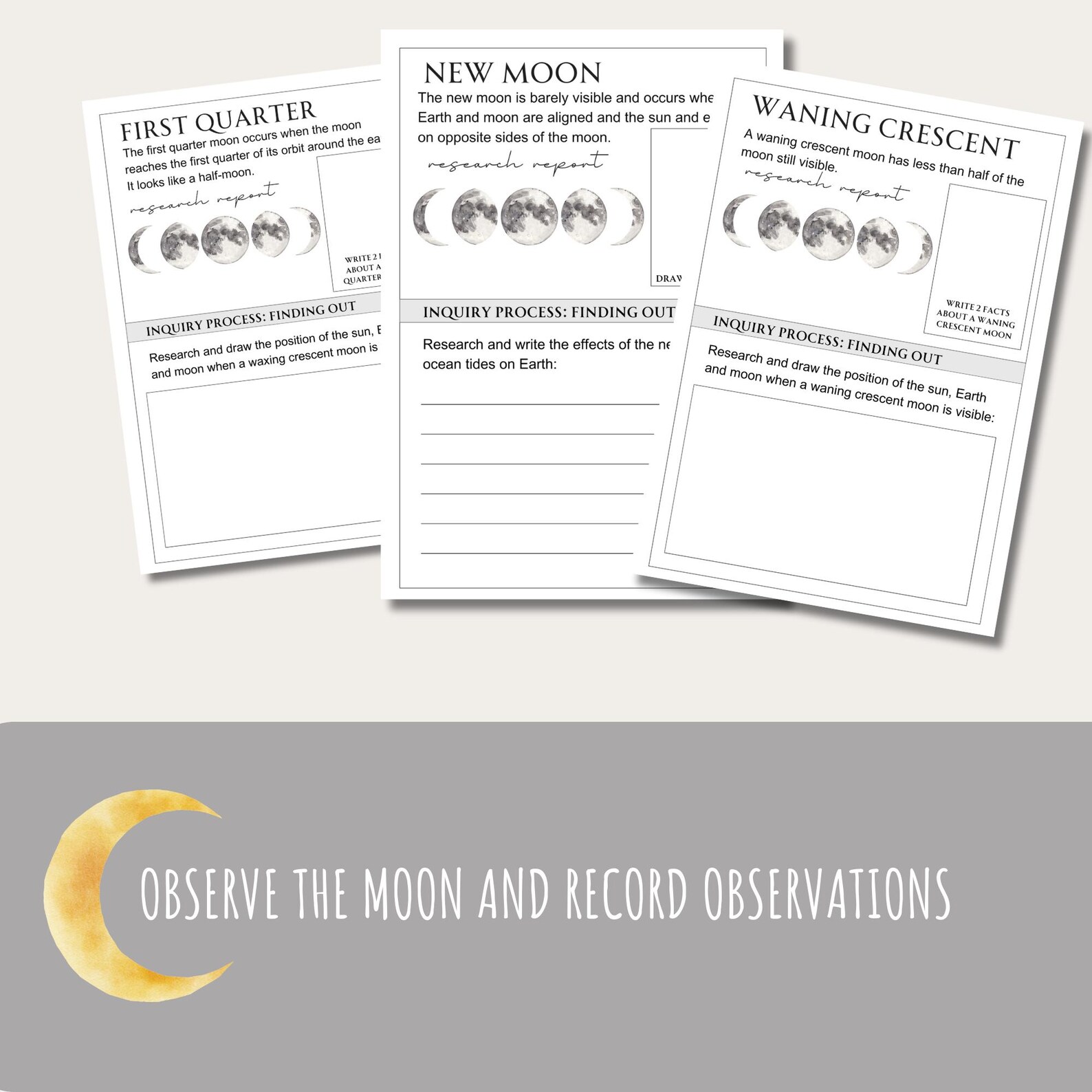 Moon Phases Study and Journal, Nature Study Educational Resources - Etsy