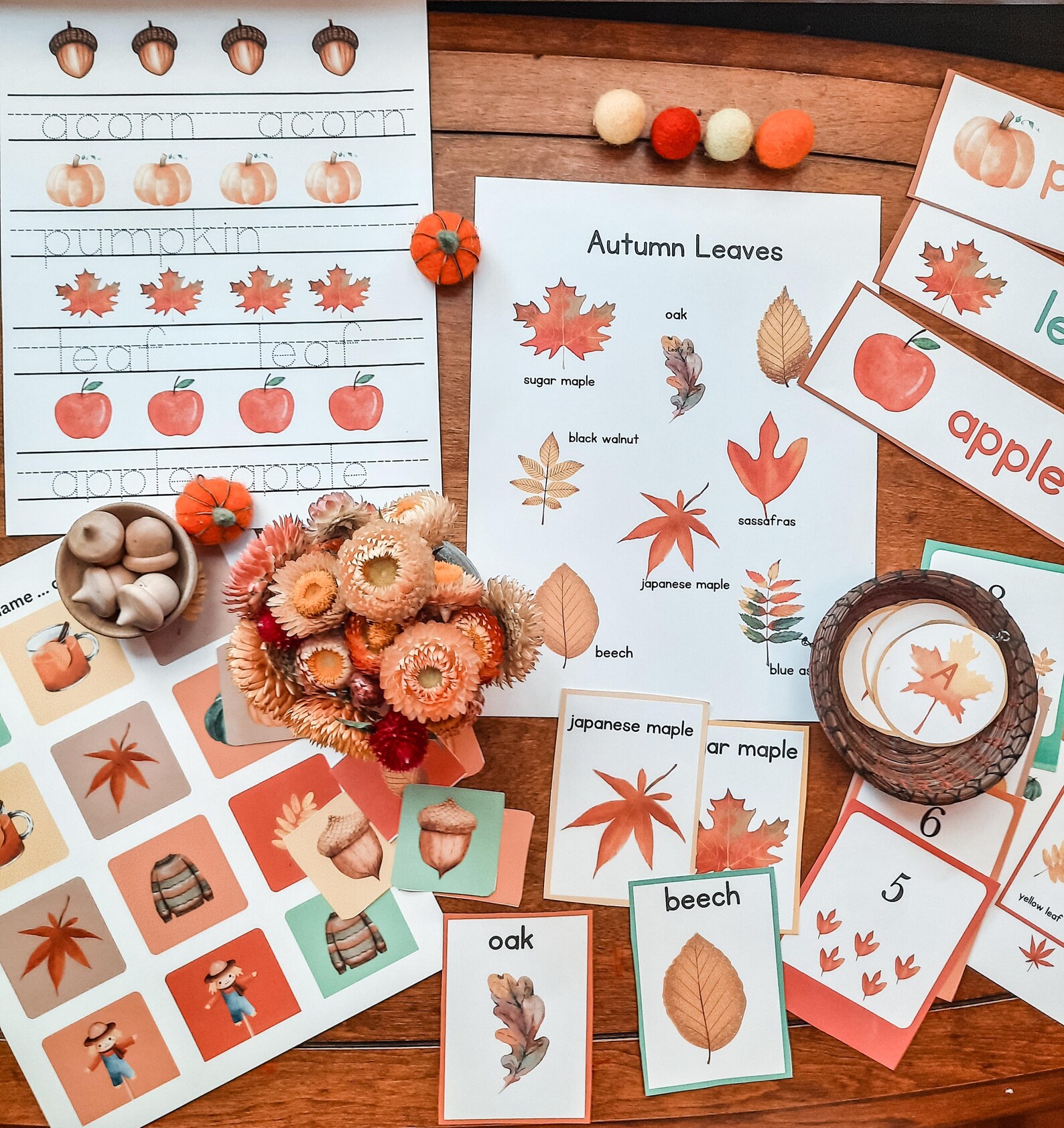 Printable Fall Activity Fall Early Learning Activities Montessori ...