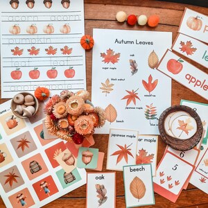 Printable Fall Activity Fall Early Learning Activities Montessori ...