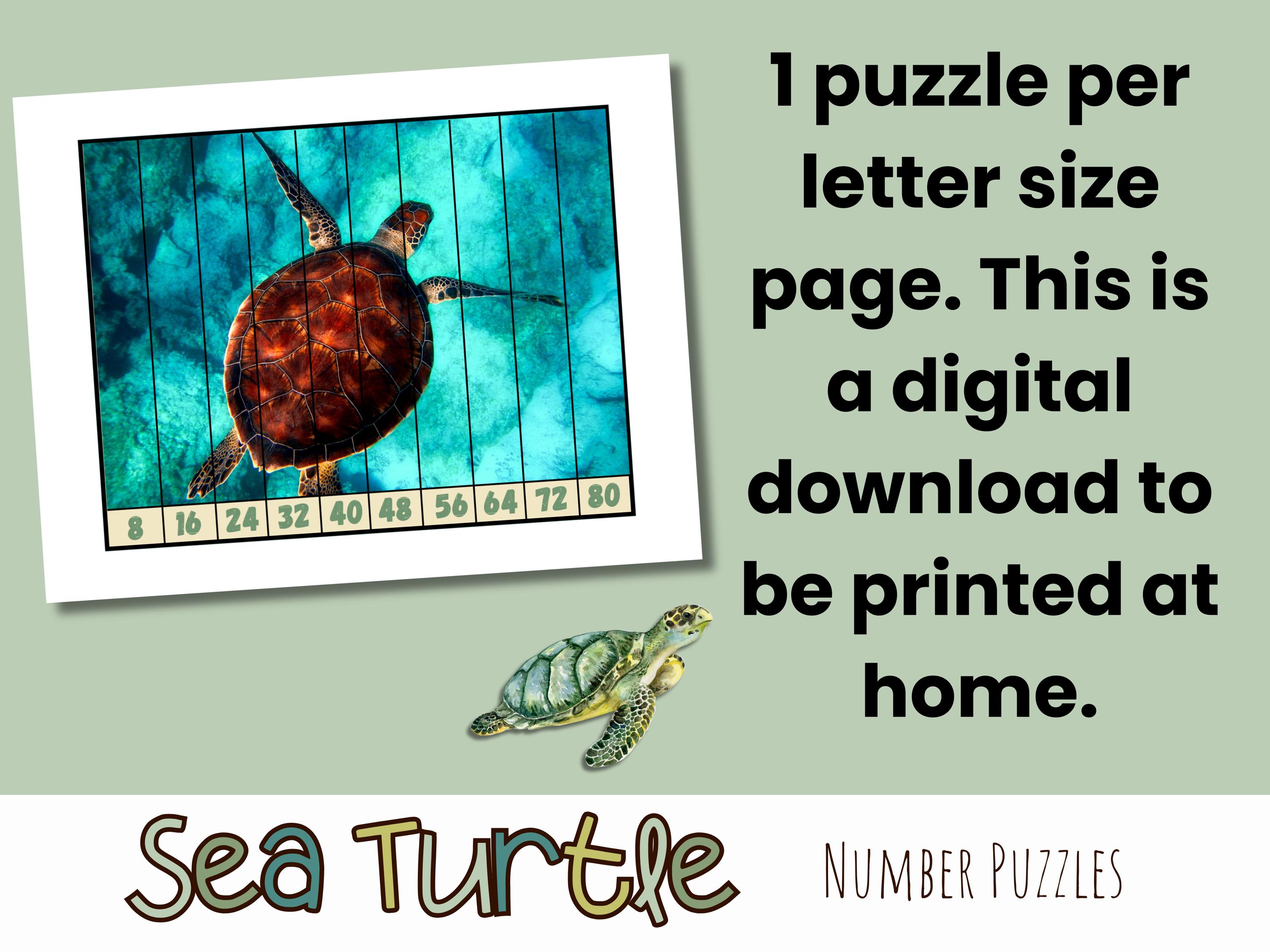 Skip Counting Puzzles Printable, Sea Turtle Number Puzzles, Morning ...