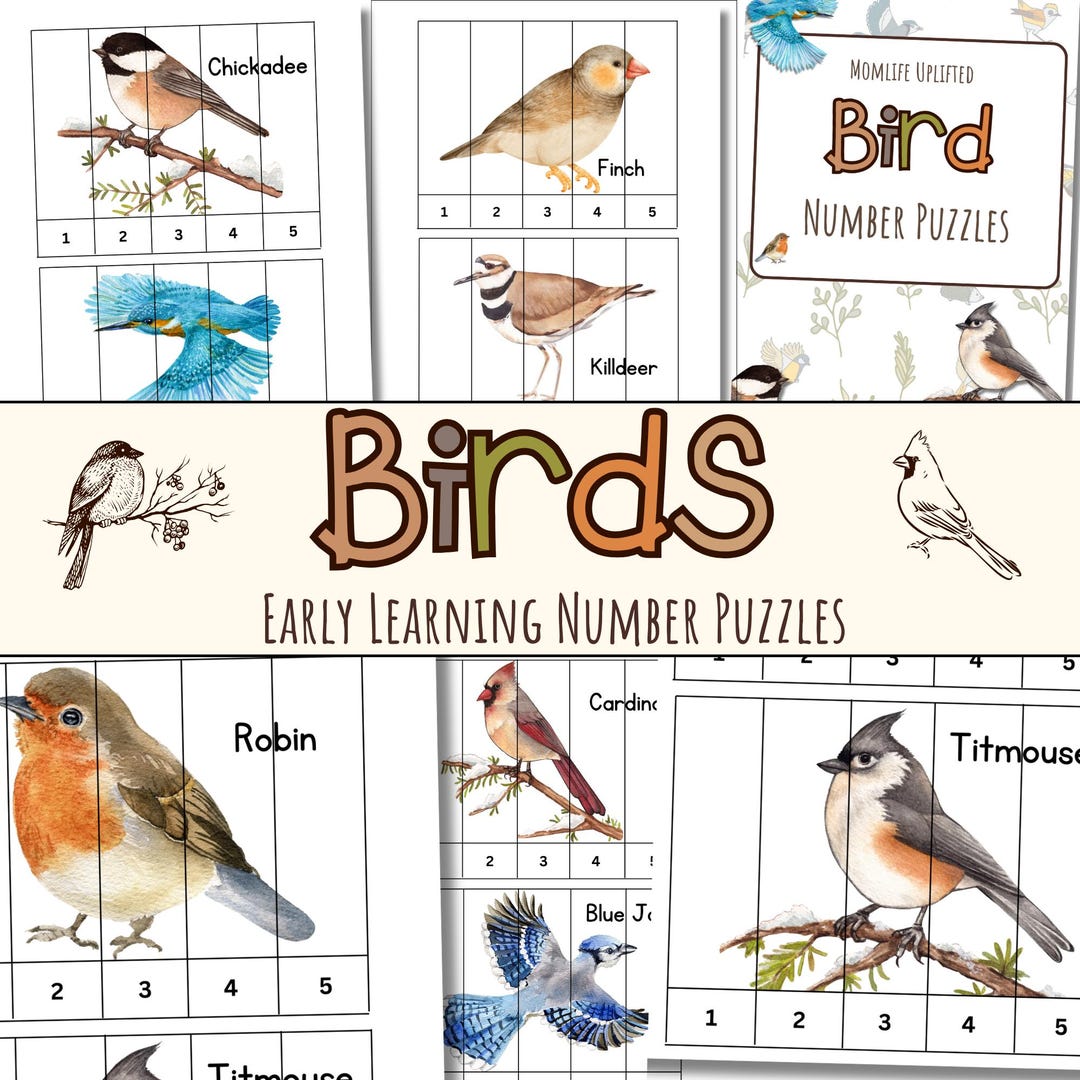 Birds Morning Basket Activity for Preschool, Printable Number Puzzles ...