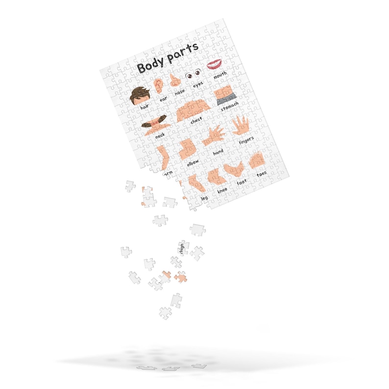 Anatomy Jigsaw Puzzle Educational Body Parts Puzzle for Adults & Kids ...
