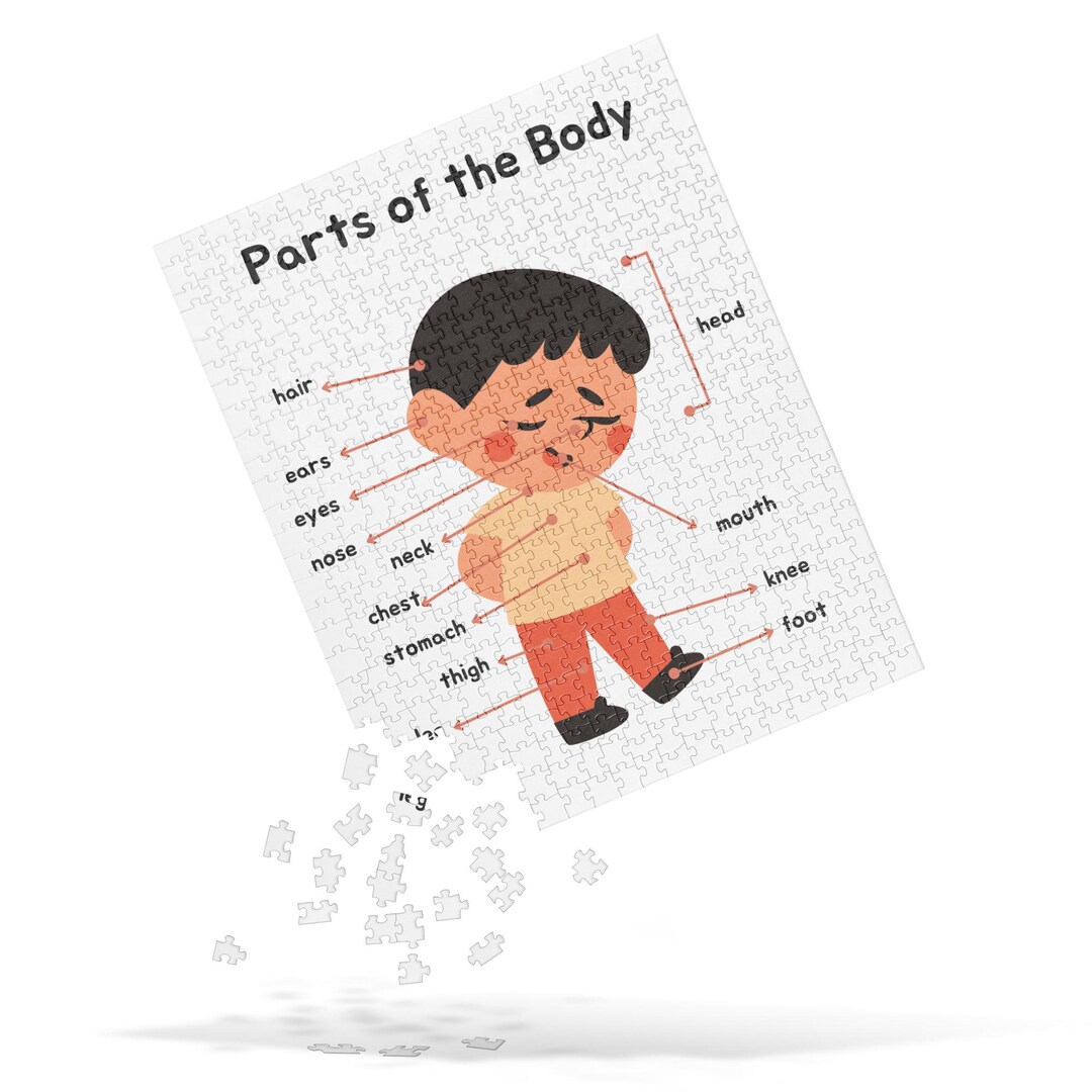 Anatomy Jigsaw Puzzle for Kids Educational Body Parts Learning Game Fun ...