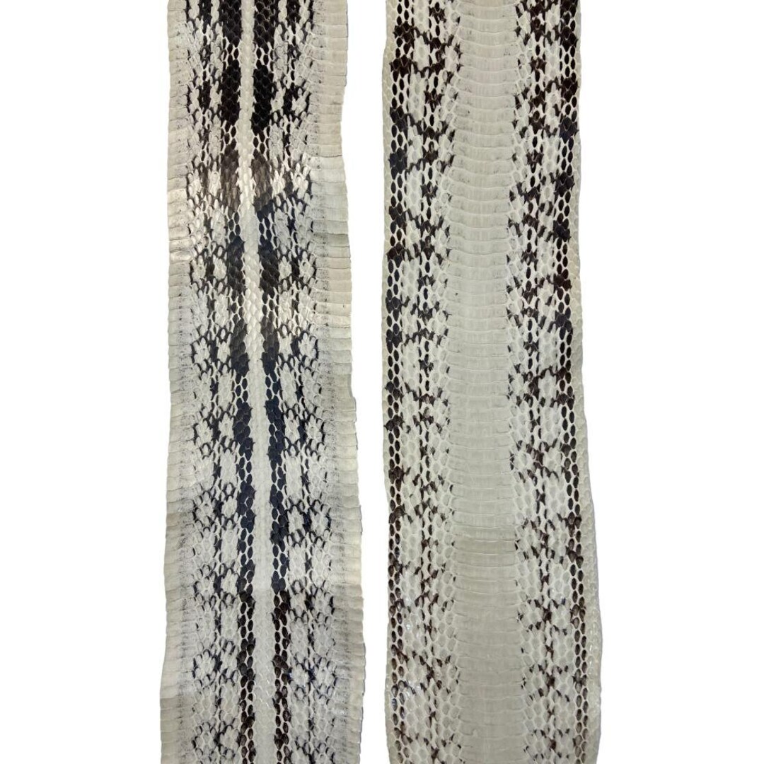 Elaphe Snake Skins Authentic Snakeskin - Etsy