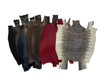 Red Lizard Skin Boots - Etsy