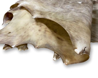 Cow Rawhide - Etsy