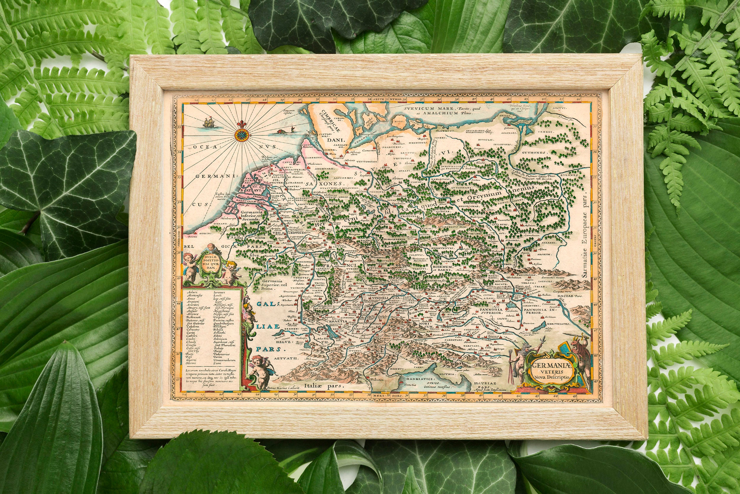 Vintage Germany Map, Ancient Map of Germany 1657 Jansson, Germania Old ...