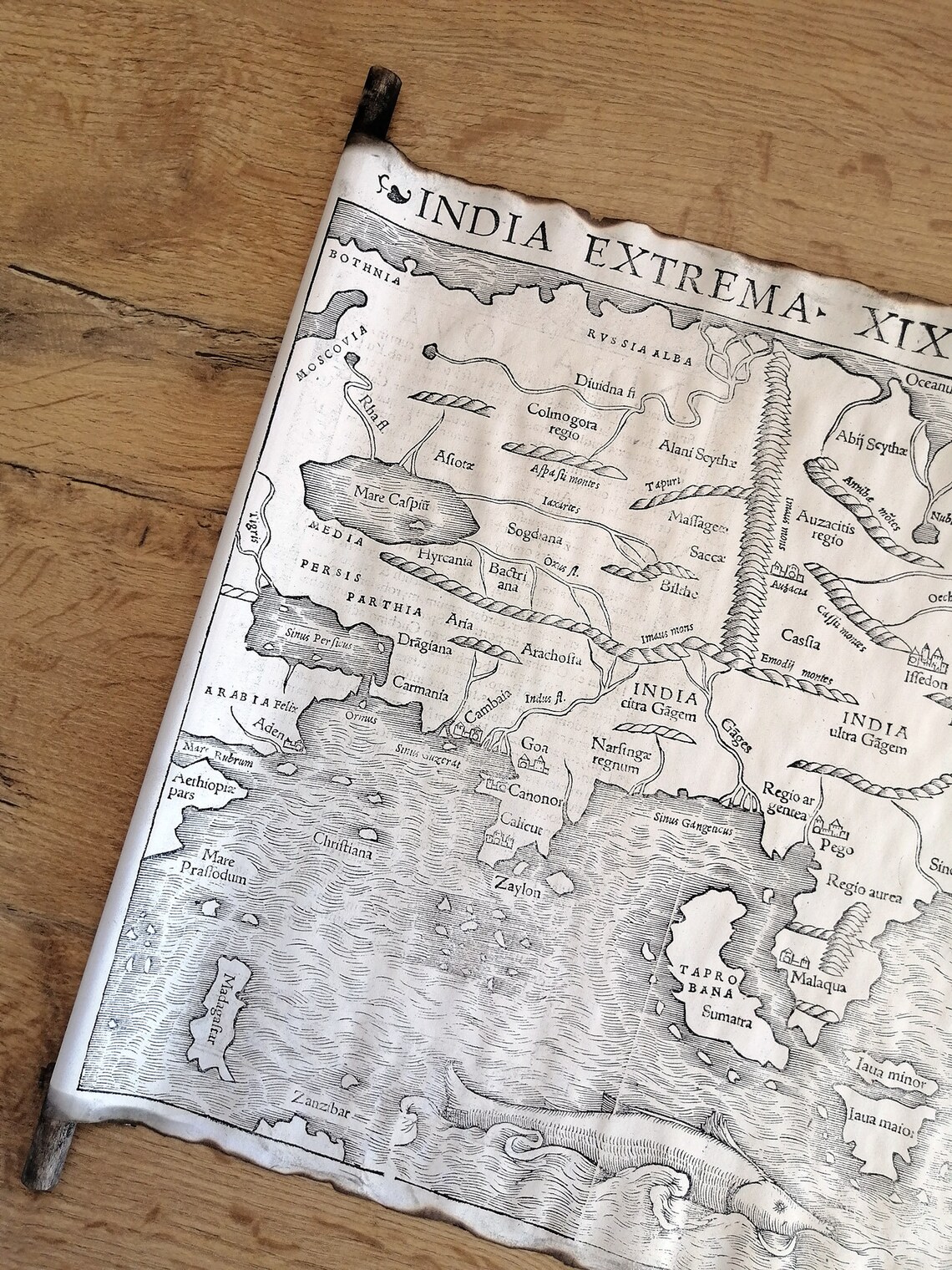 Old Map of Asia 1540 on Handmade Scroll, India Extrema XIX Nova Tabula ...