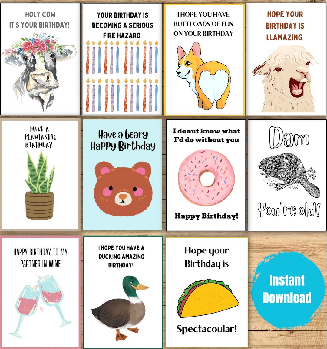 Birthday Card Bundle 11 Styles | Printable | Punny | Humour | Instant ...