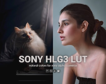 Cinematic & LOW LIGHT LUT for S-log and Cine Picture Profiles - Etsy