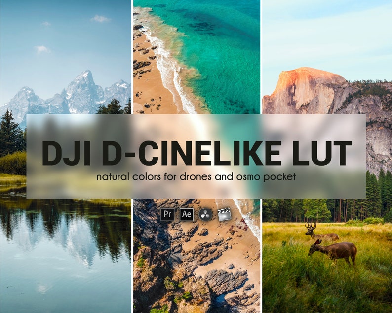 Perfect Colors LUT for DJI D-cinelike Drones & OSMO Pocket - Etsy