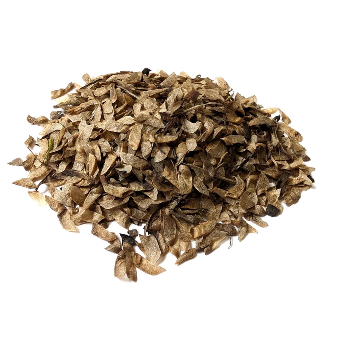 Katsura Tree Seeds | Caramel Scented | Japanese Caramel Tree ...