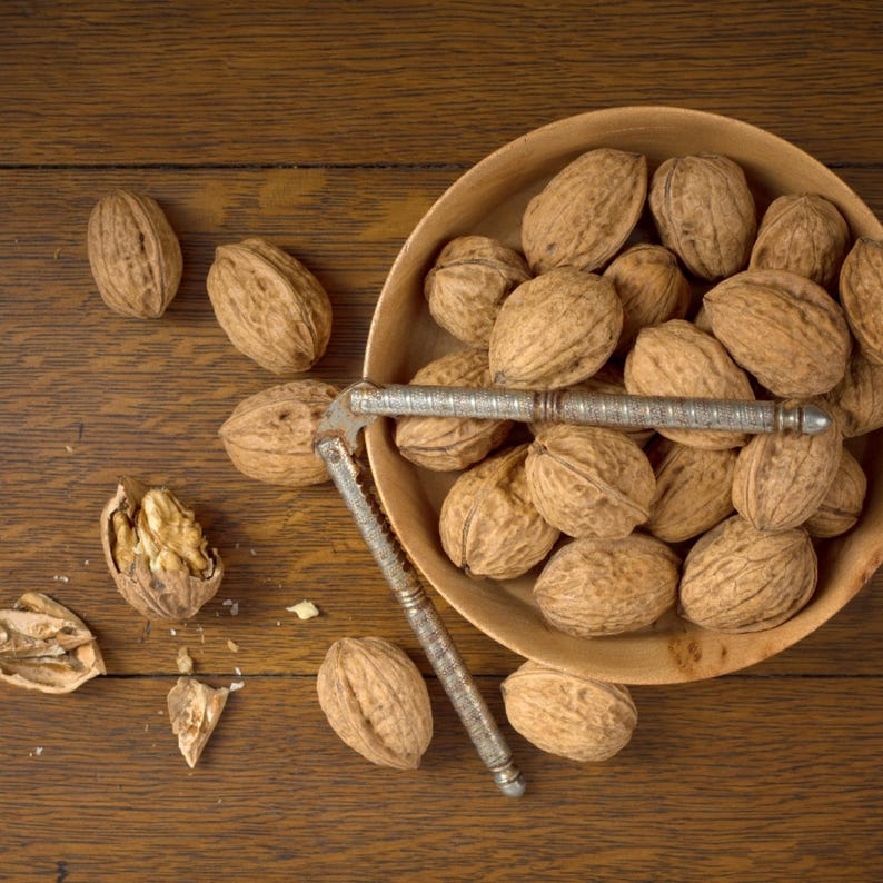 Rare Butternut Tree Seeds (juglans Cinerea) | Hardy Native Walnut for ...