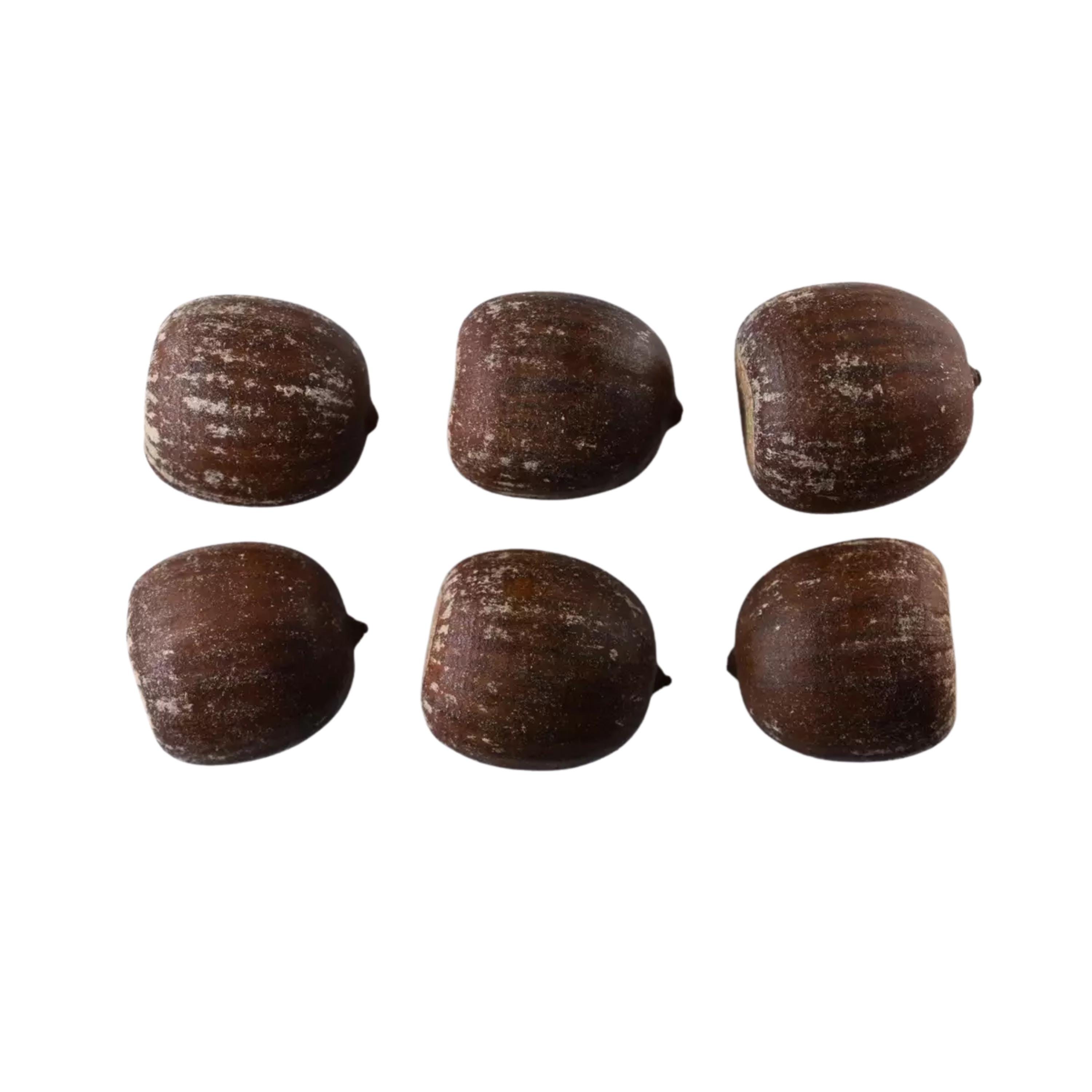 Northern Red Oak Tree Seeds | Quercus Rubra | Fast-growing Hardwood for ...