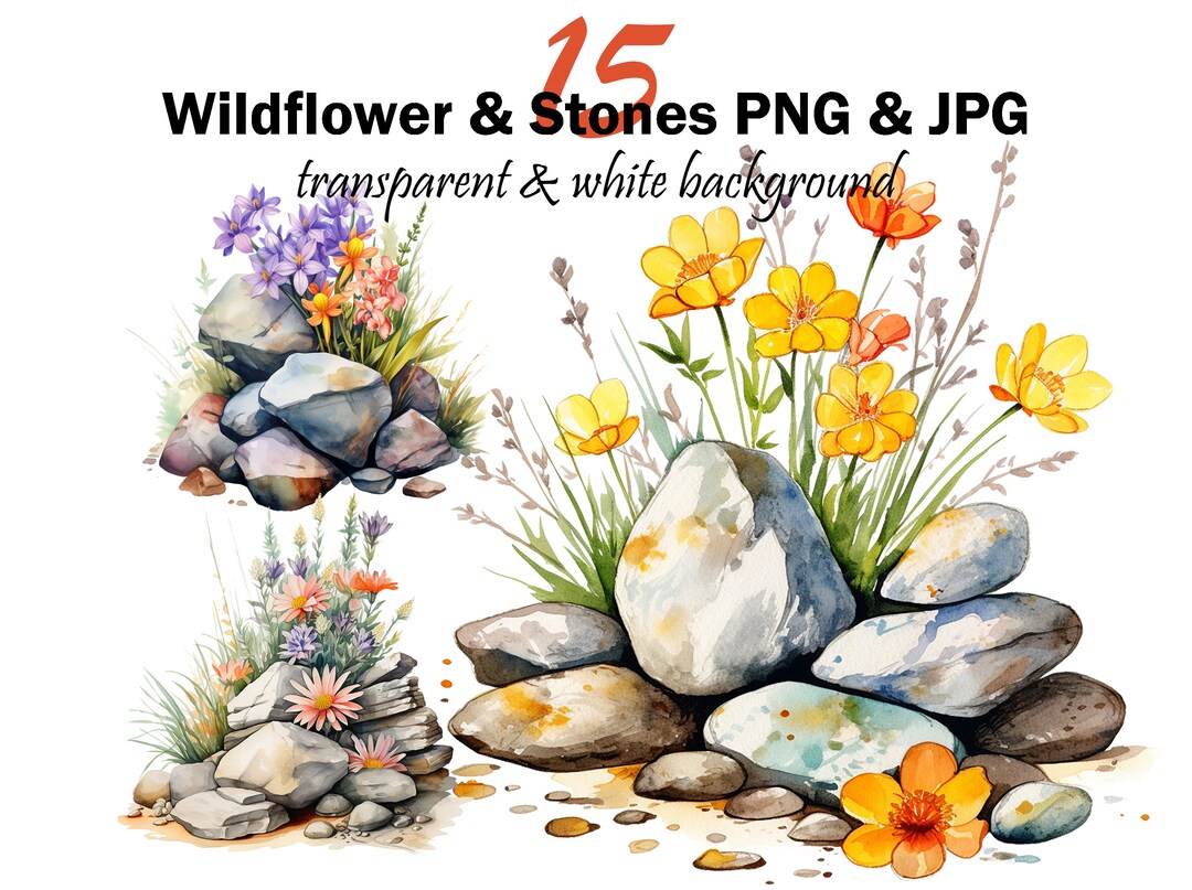 15 Wildflowers and Stones Clipart, Watercolor Clipart, Wildflower ...