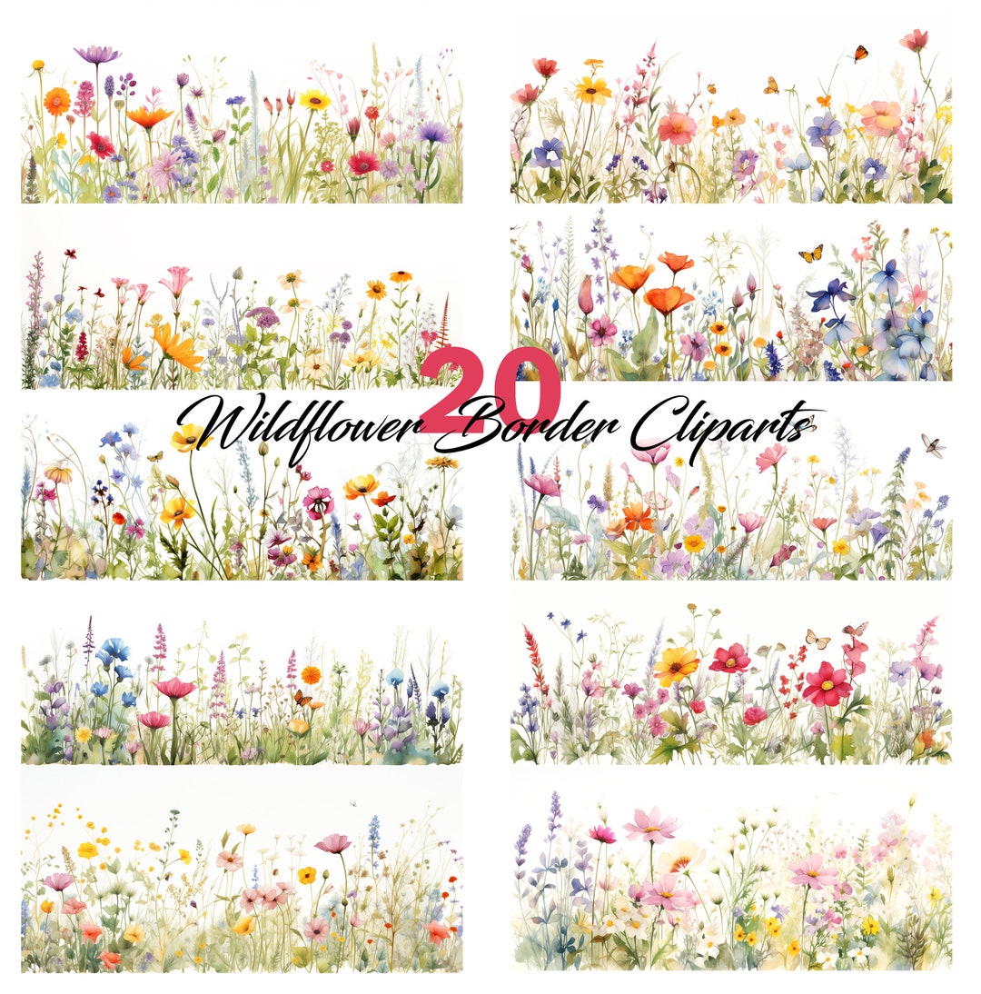 20 Wildflower Border Clipart Jpgs, Watercolor Artwork, Versatile and ...