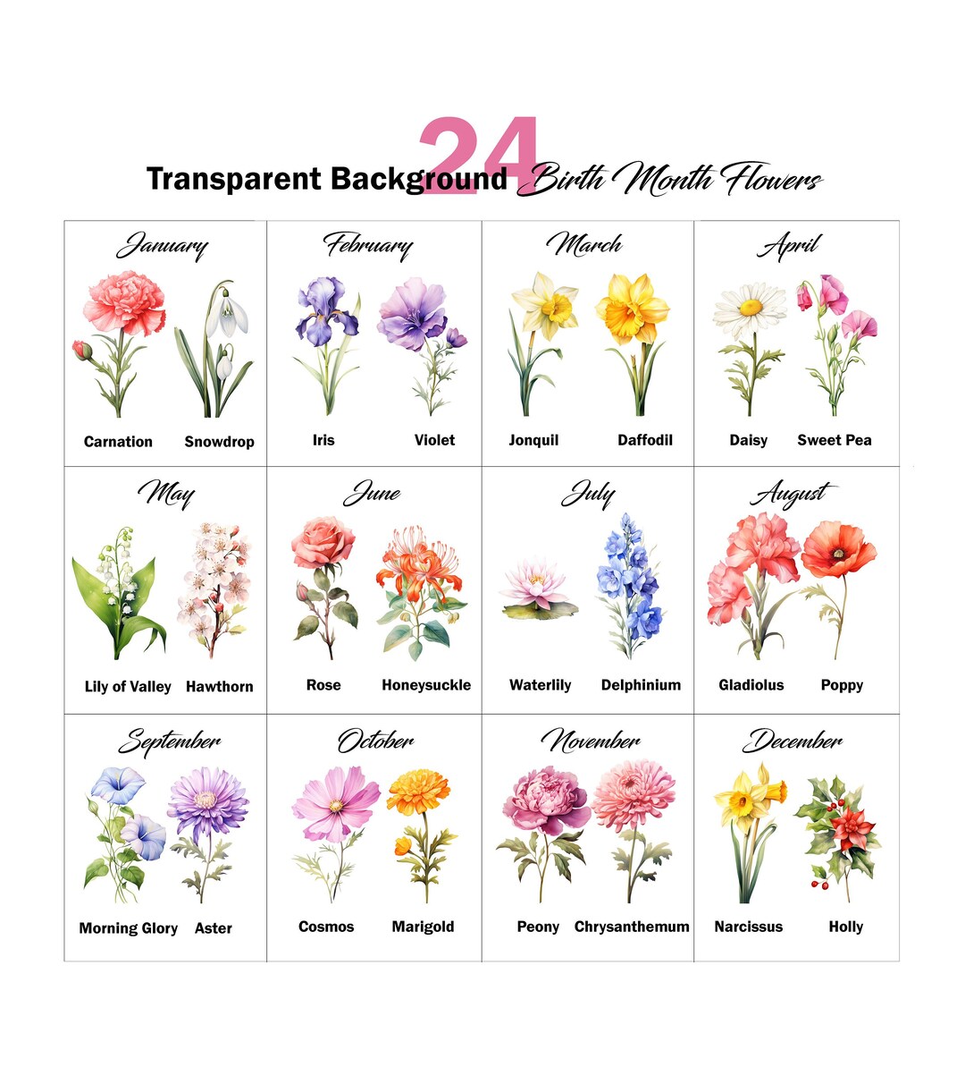 24 Birth Month Flowers Clipart, PNG, Set Watercolor, Watercolor Floral ...