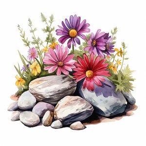 15 Wildflowers and Stones Clipart, Watercolor Clipart, Wildflower ...