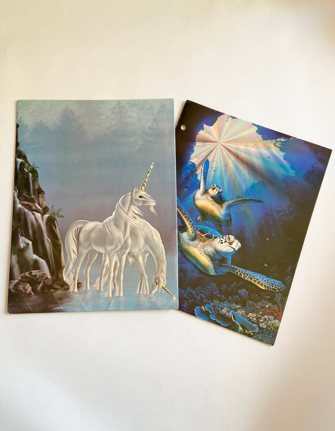 90’s Unicorn and Undersea Turtle School Vintage Folders | 1990’s School Supplies - Etsy