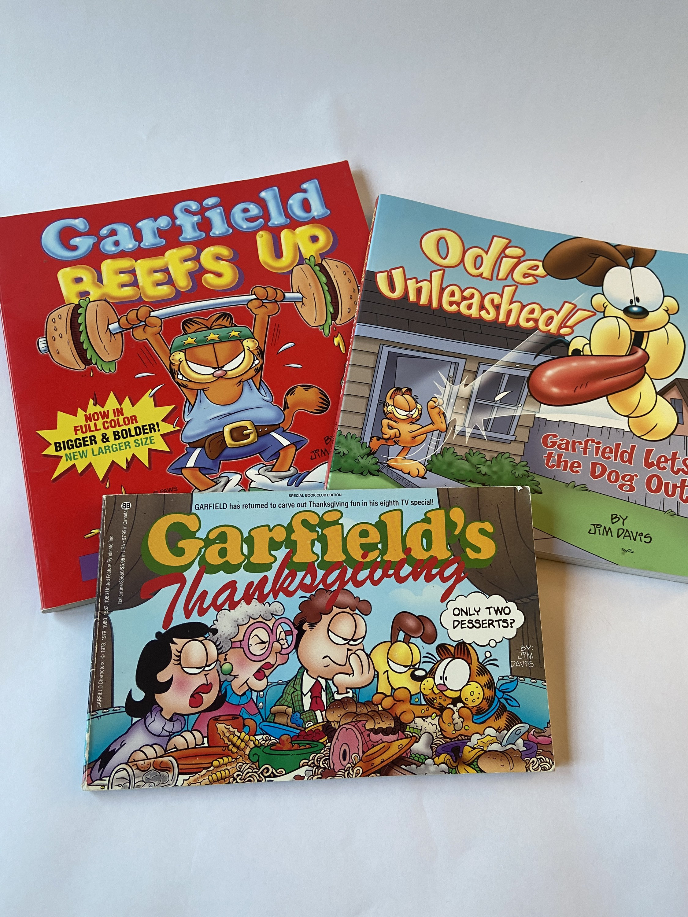 Garfield Thanksgiving Comic Strip