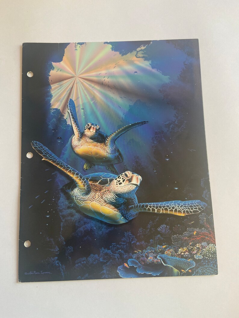 90s Unicorn and Undersea Turtle School Vintage Folders - Etsy