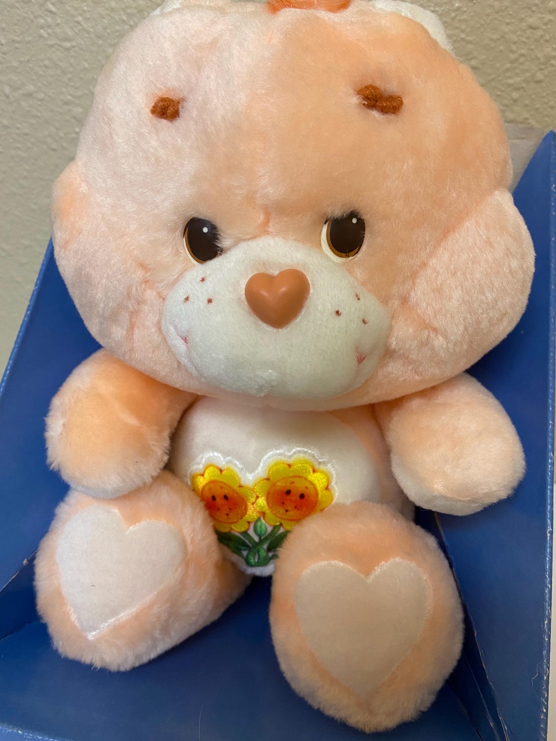 1984 Friend Bear Care Bear | Never Opened - Etsy