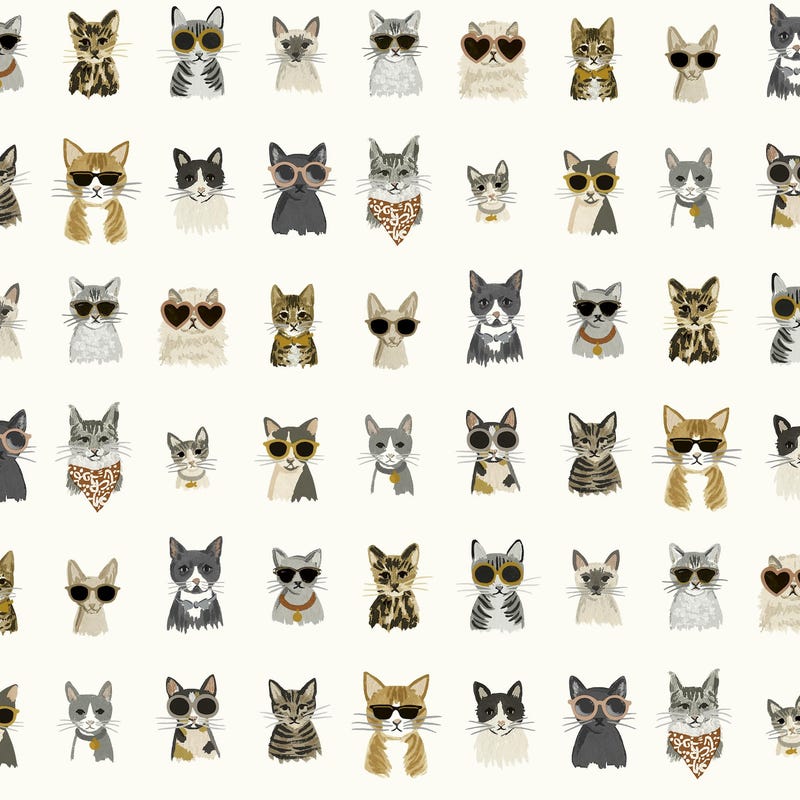 Cat Wallpaper - Etsy