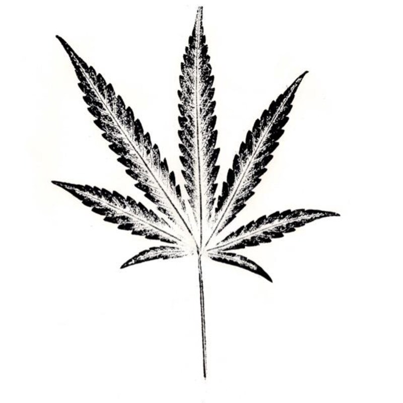 Marijuana Botanical Print - Etsy