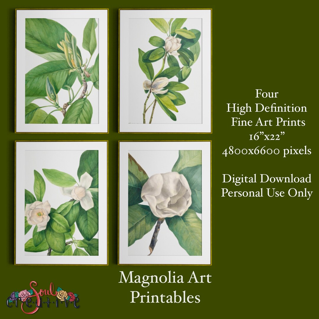Magnolia Fine Art Printables I Digital Download I Wall Art - Etsy Australia