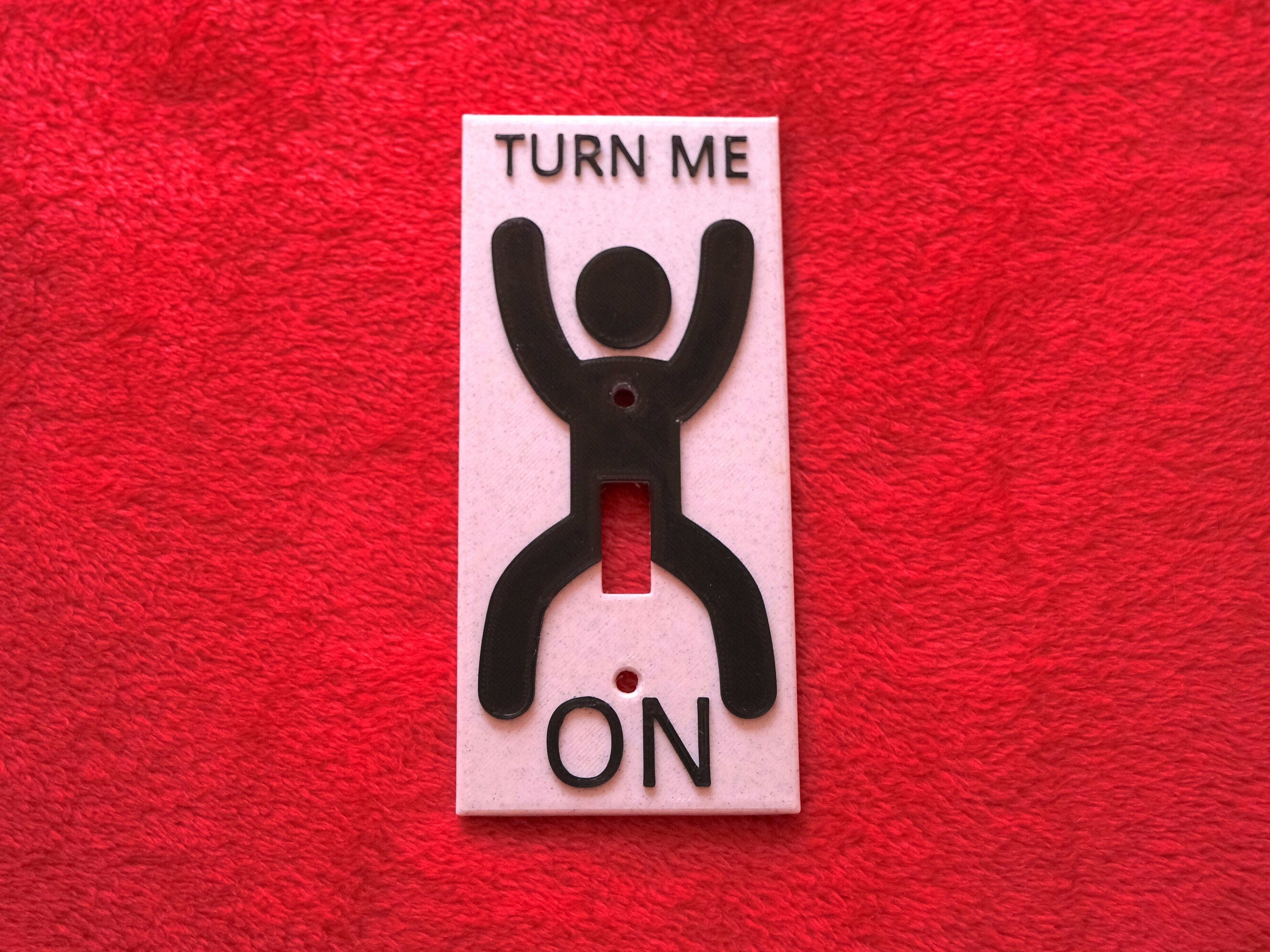 Naked Man Light Switch Plate - Funny Gag Gift - Etsy
