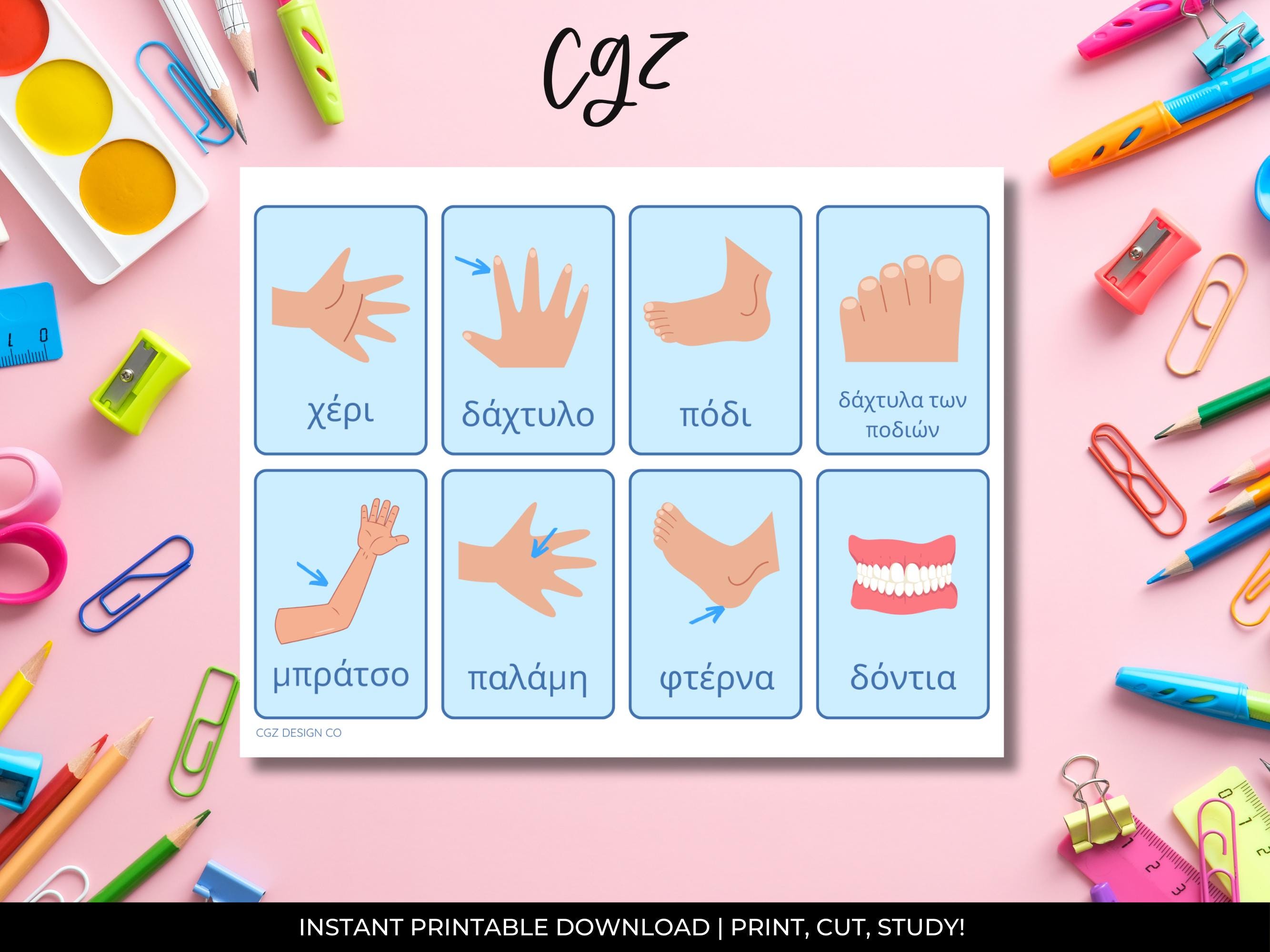 Greek Body Parts Flashcards for Kids | Educational Learning Tools With ...