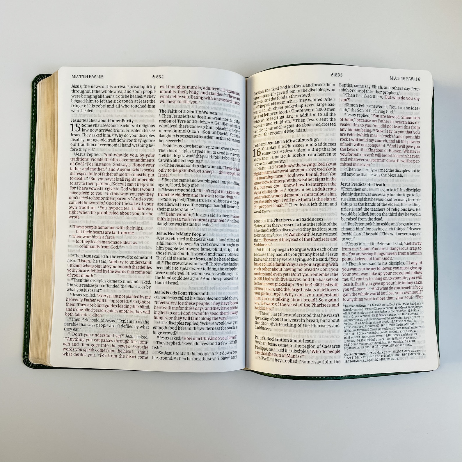 NLT Dayspring Bible - PERSONALIZED - Evergreen With Gold Branch ...