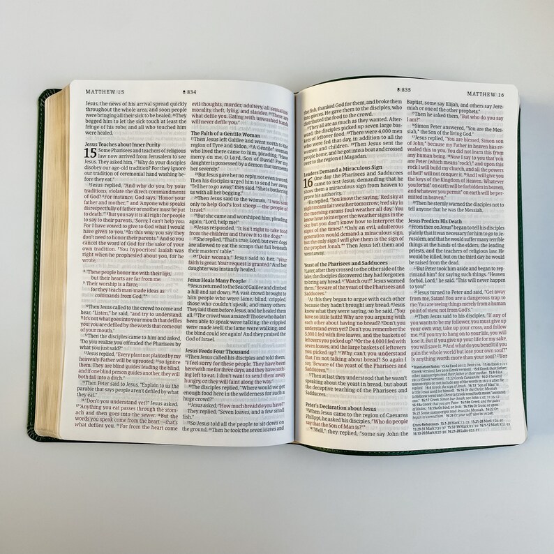 NLT Dayspring Bible PERSONALIZED Evergreen With Gold - Etsy