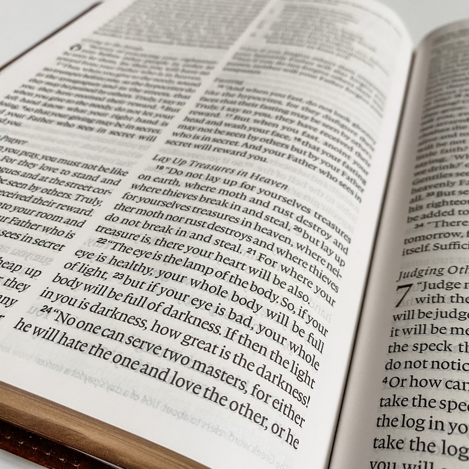 ESV Large Print Bible Full Size - PERSONALIZED - Brown - Includes ...