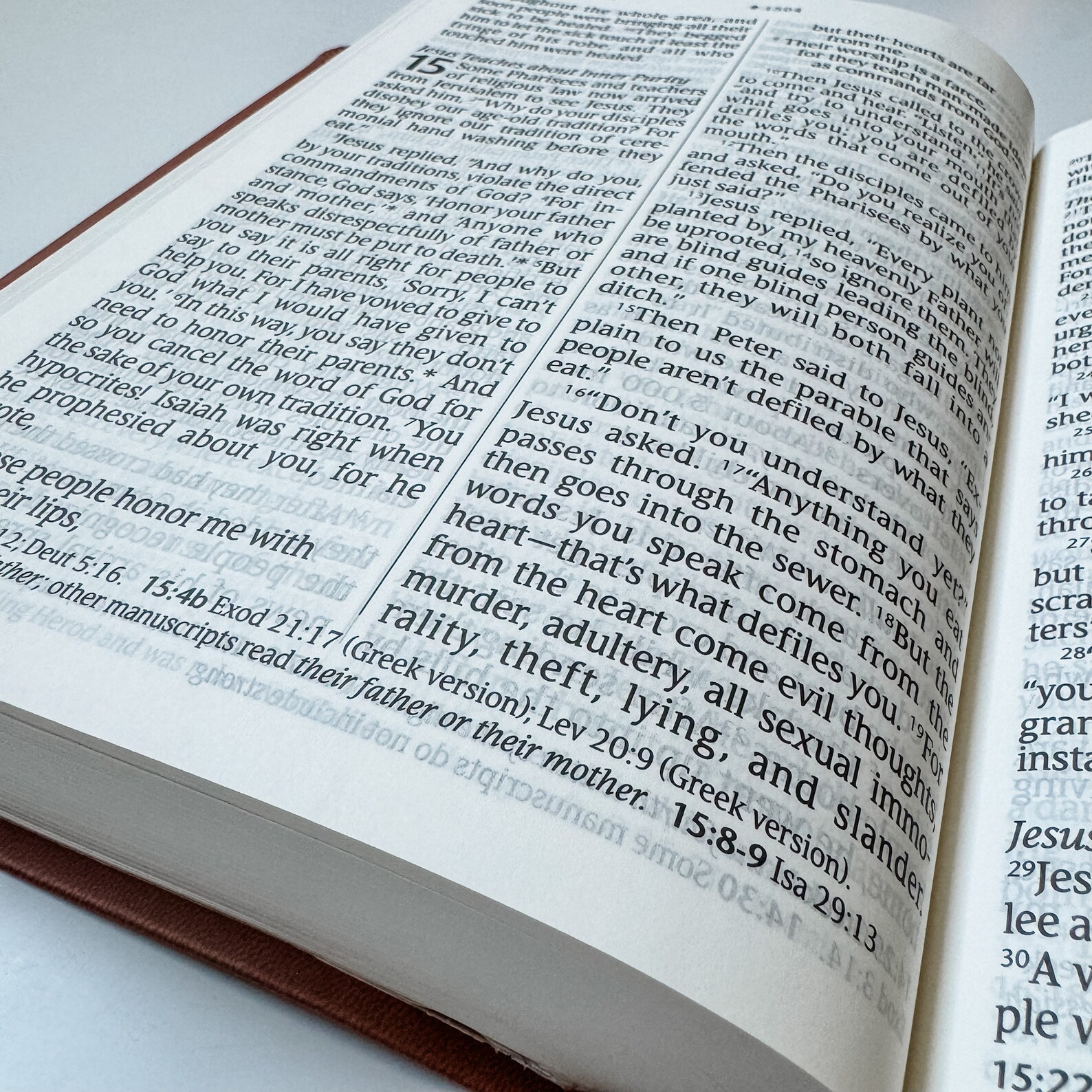 NLT Bible - PERSONALIZED - Giant Print - Brown Mountain Design - Verse ...
