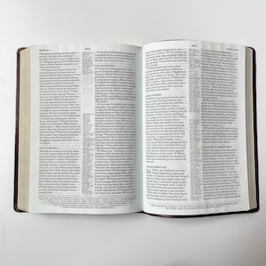 NASB 2020 Large Print Bible - PERSONALIZED - Reference - Brown ...