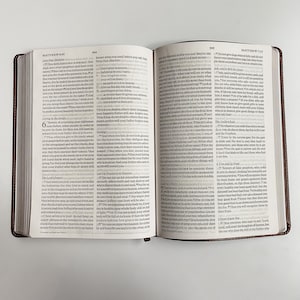 ESV Large Print Bible Full Size - PERSONALIZED - Brown - Includes ...