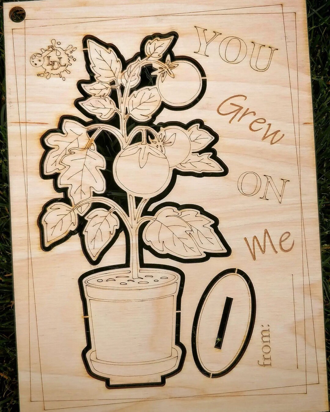 You Grew on Me Pop up Greeting Card, Svg, Pdf, Lightburn Laser Cut File ...