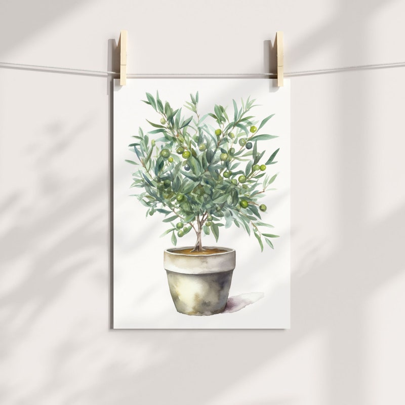 Olive Tree - Etsy