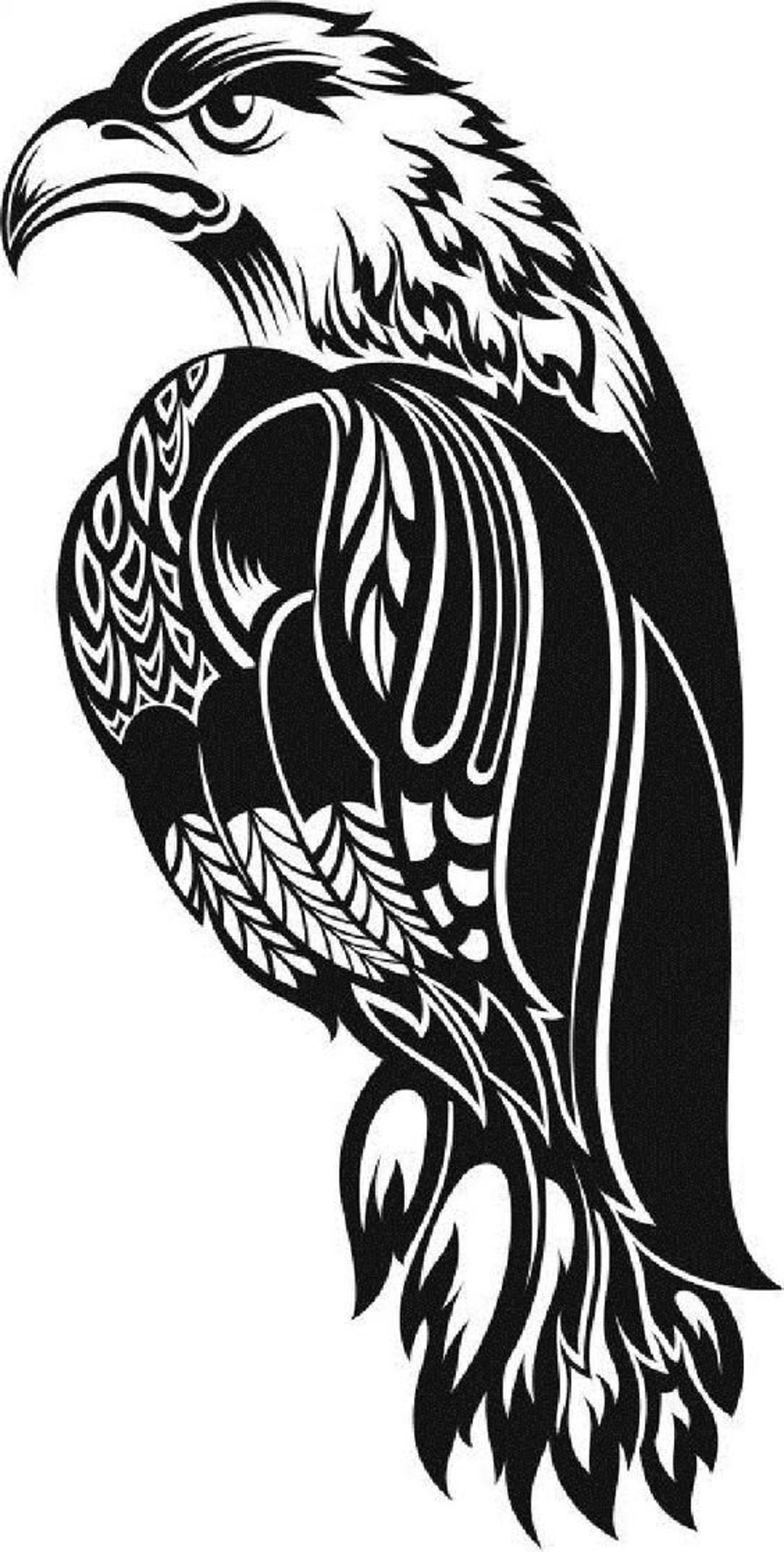 Hawk Svg - Etsy
